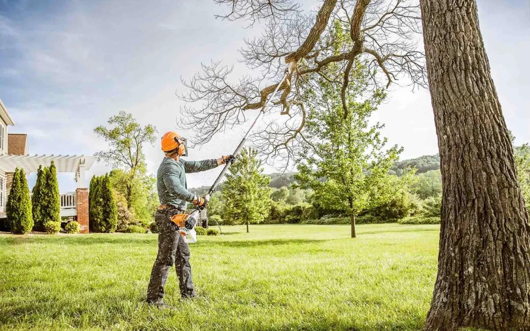 Ashwood Tree And Garden Services.