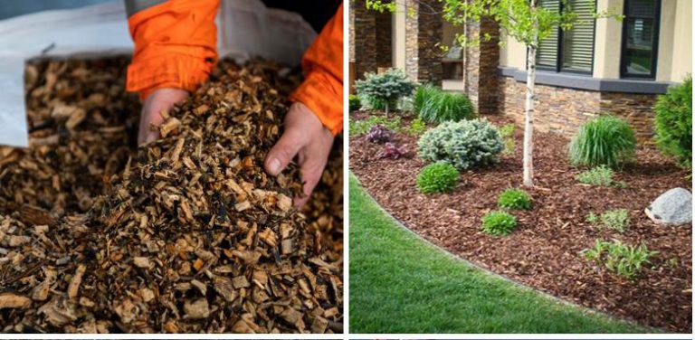 Ashwood Tree And Garden Services.